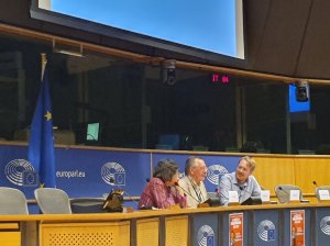 Dear newly-elected MEPs, – Peter Teffer